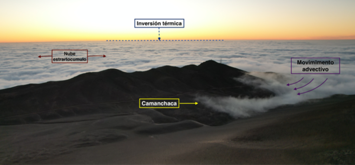 Evidencias sobre el potencial de la Camanchaca como recurso hídrico en ...