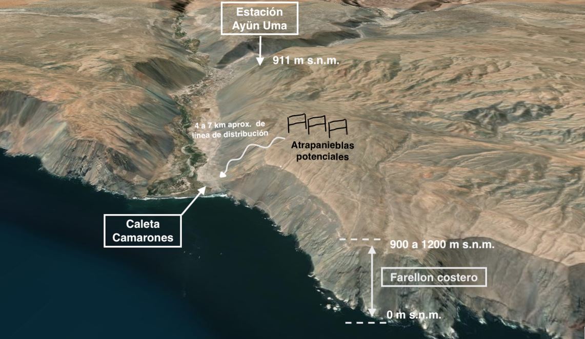 Evidencias sobre el potencial de la Camanchaca como recurso hídrico en ...